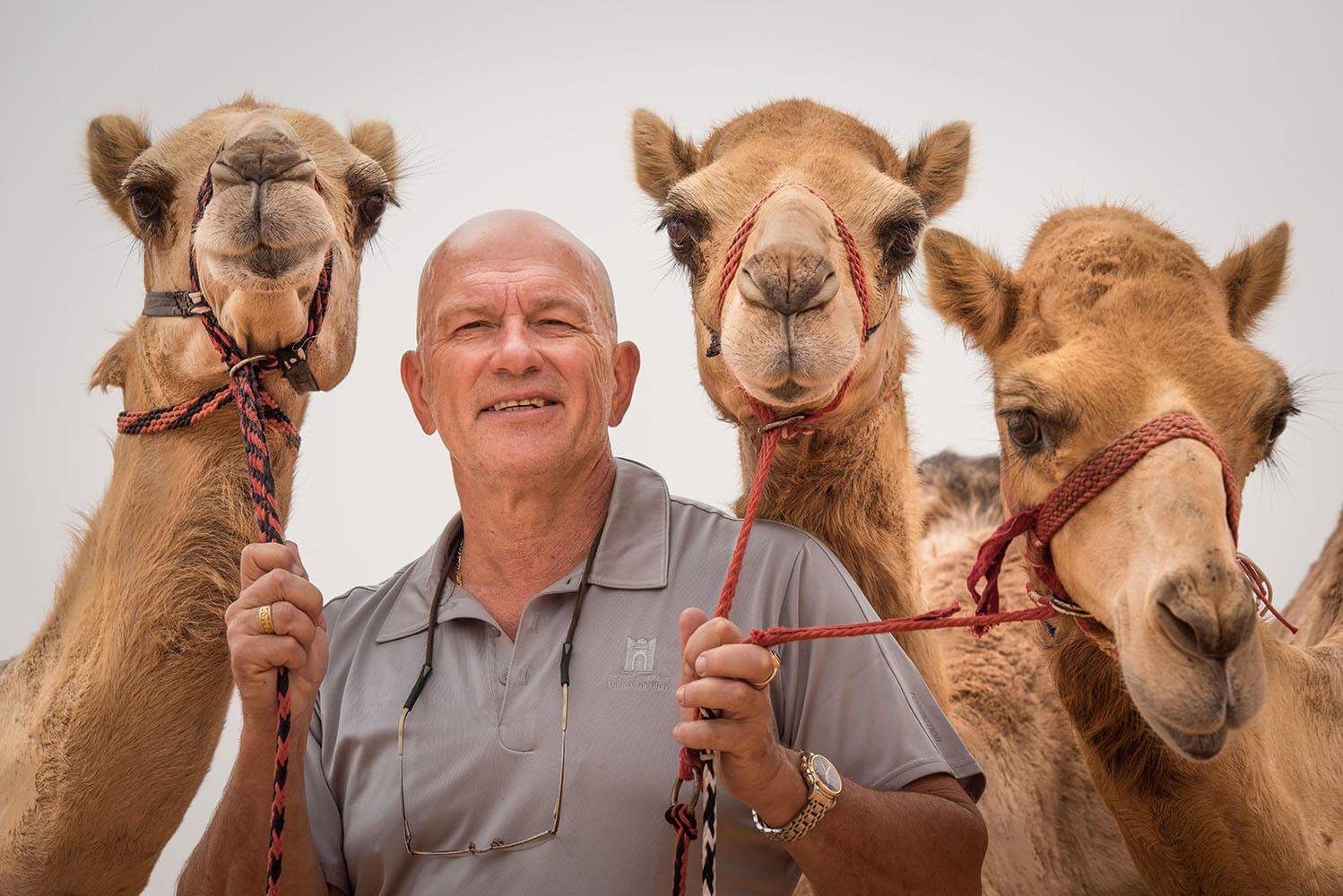 About Alex Tinson – Harry The Camel